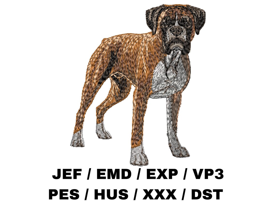 Boxer Dog - Full Body, Fun Project, Realistic Portrait, Dog Lover, Pet ...