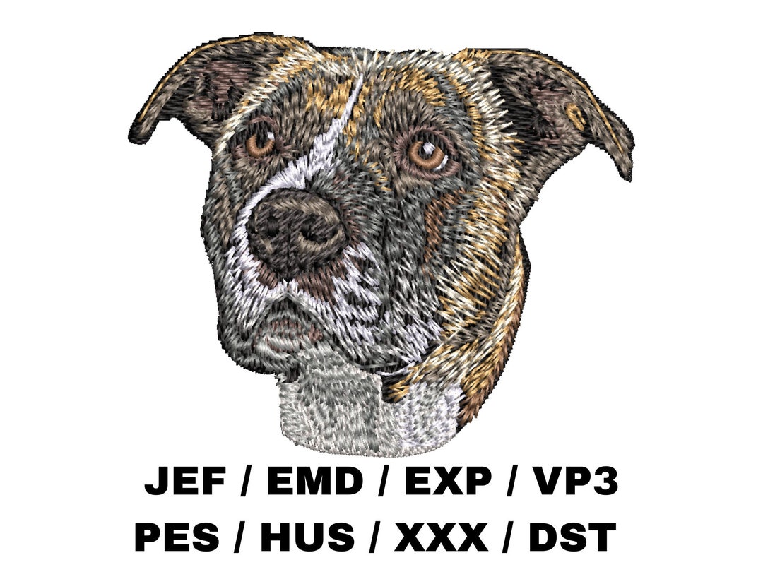 American Pit Bull Terrier, Pittie, APBT - Tricolor Brindle, Realistic ...