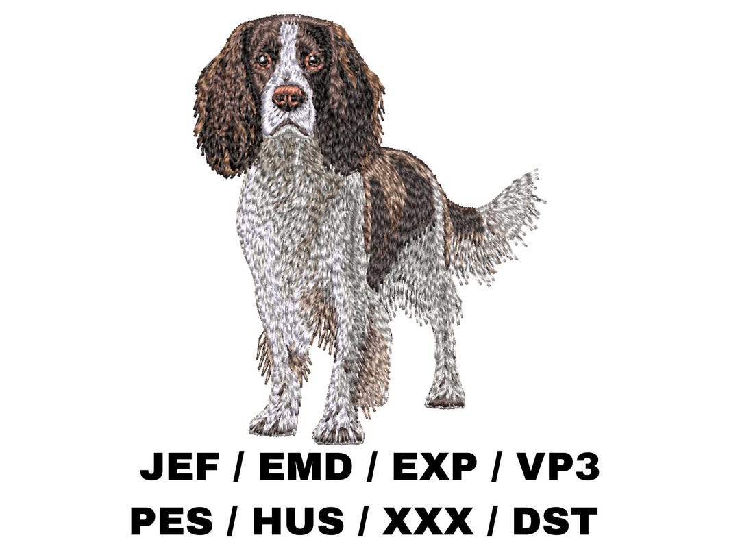 English Springer Spaniel - Full Body, Adorable Pattern, Dog Lover ...