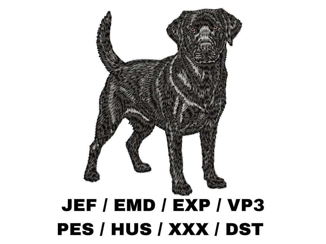 Realistic Labrador Retriever Embroidery – Full-body Dog Design, Pet ...