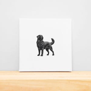Black and Chocolate Lab - Full Body, Fun Project, Realistic Portrait ...