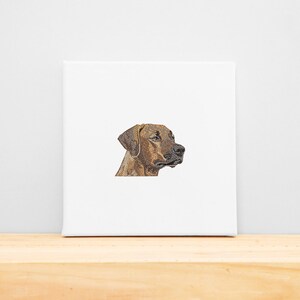 Rhodesian Ridgeback - African Lionhound, Lion Dog, Realistic Pet ...