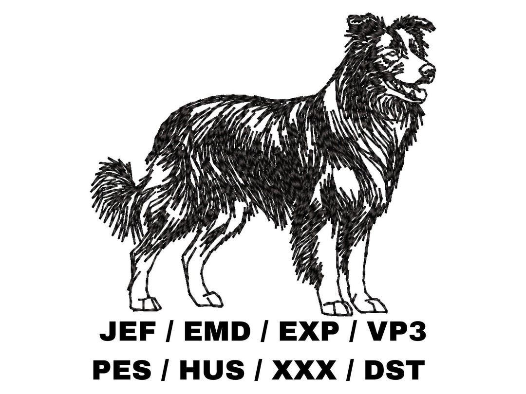 Border Collie Full Body Outline Machine Embroidery Design, Dog Breed ...