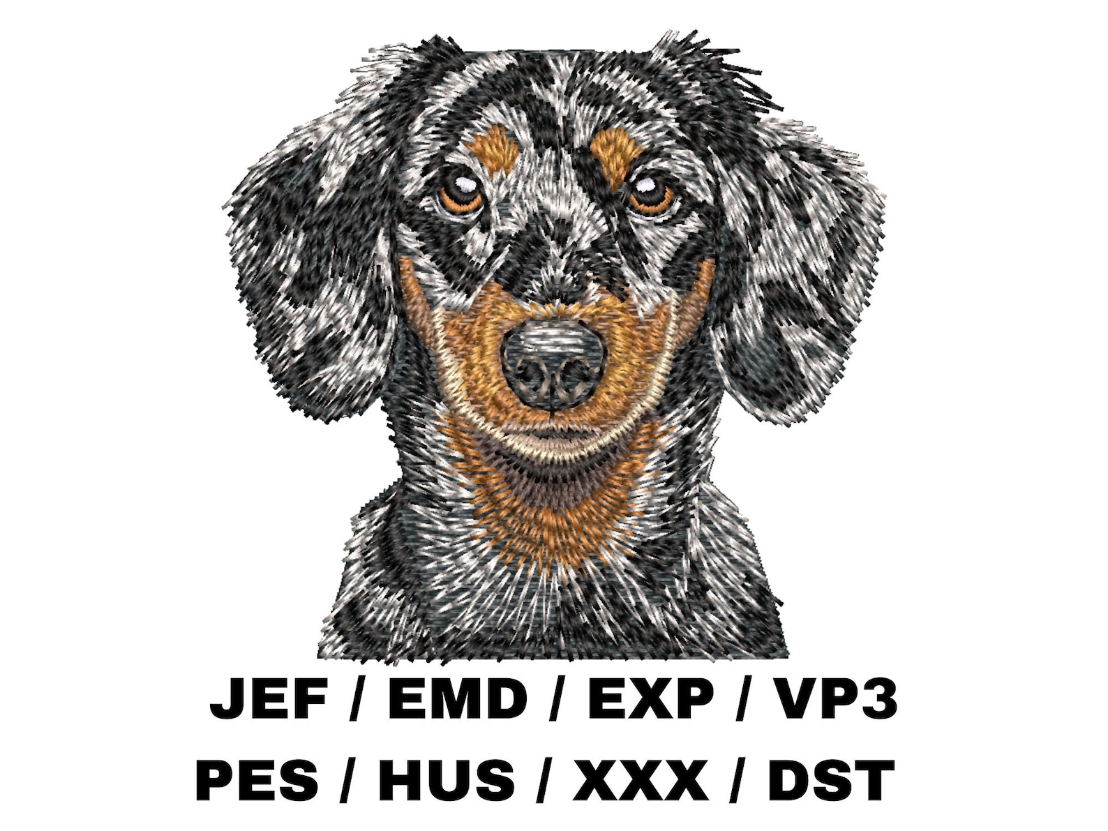 Dapple Dachshund - Merle Coat, Cute Breed, Fun Project, Realistic ...