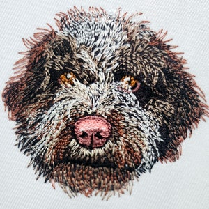 Lagotto Romagnolo Embroidery File - Italian Water Dog, Realistic Dog ...