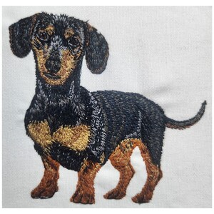 Dachshund - Full Body, Popular Pet, Wiener Dog Lover, Animal Craft, Fun ...