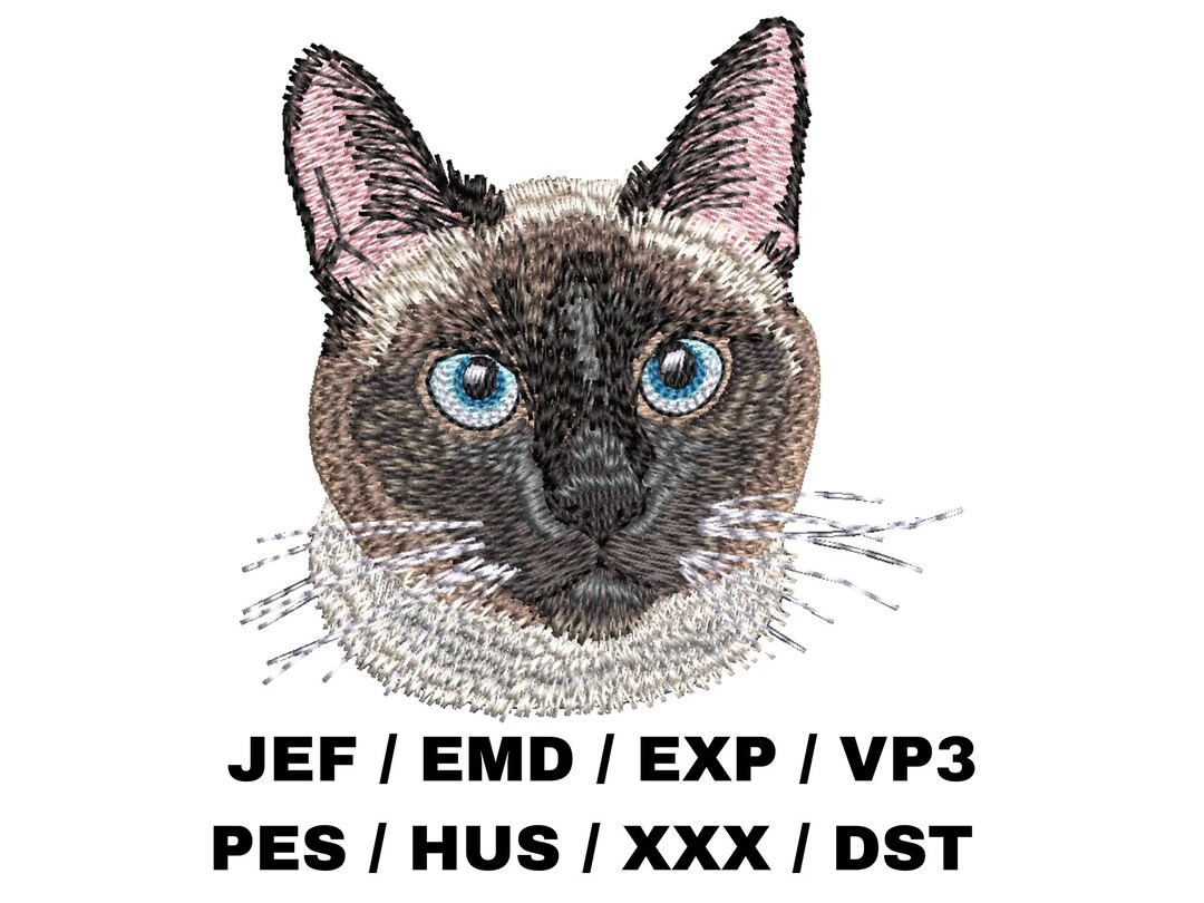 Siamese Cat, Meezer, Mese - Whiskers, Realistic Portrait, Cat Lovers ...