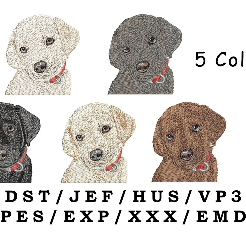 Lab Embroidery Design - Etsy