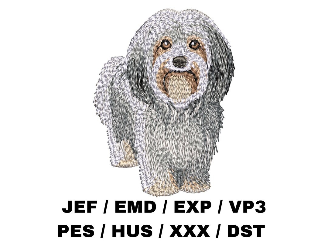 Havanese - Full Body, Adorable Pattern, Dog Lover, Realistic Portrait ...