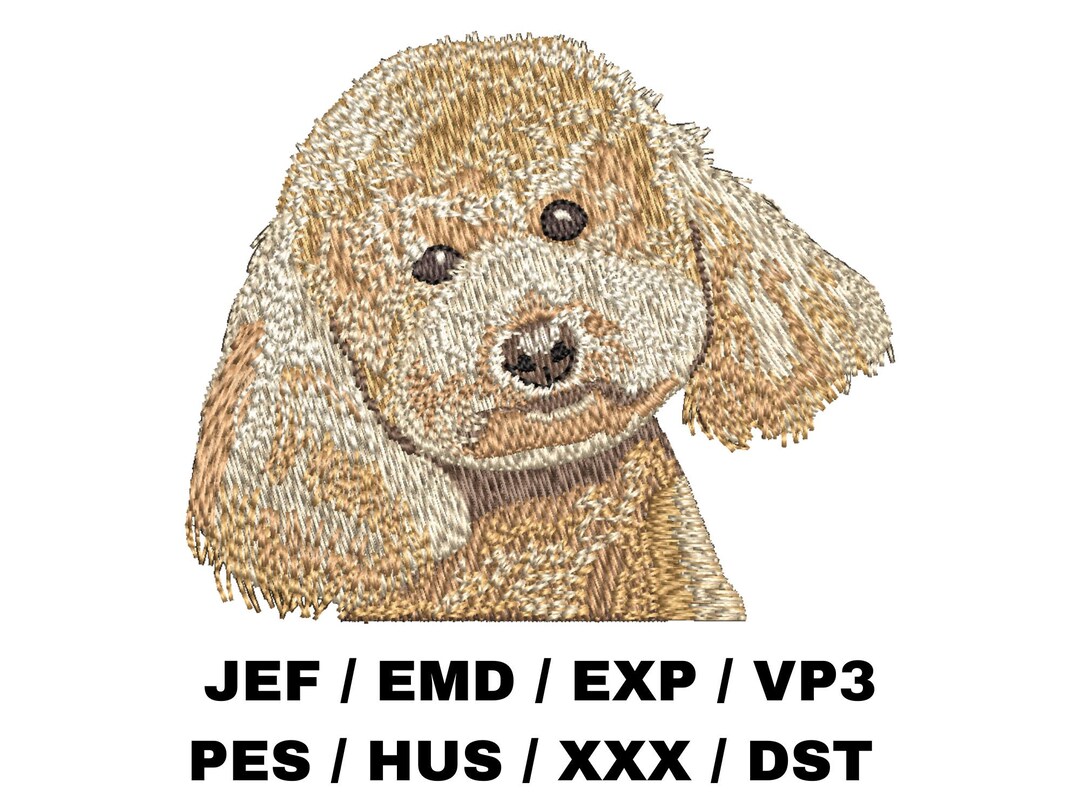 Apricot Poodle Embroidery File - Poodle Gifts - Dog Art Realistic Dog ...