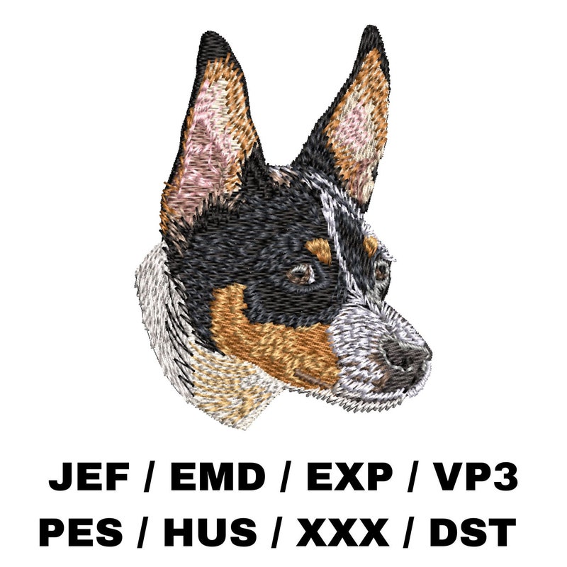 Tri Rat Terrier - Etsy