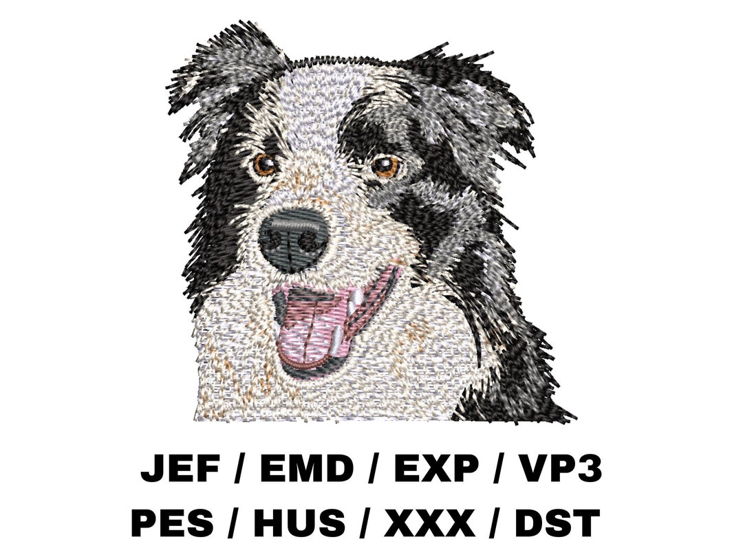 Border Collie Embroidery - Realistic Dog, Beautiful Pet, Animal Craft ...