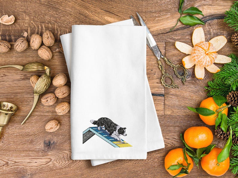 Border Collie Agility A-frame Embroidery Design – Descending Action ...