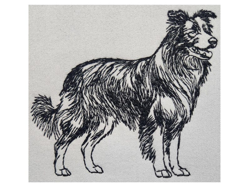 Border Collie Full Body Outline Machine Embroidery Design, Dog Breed ...