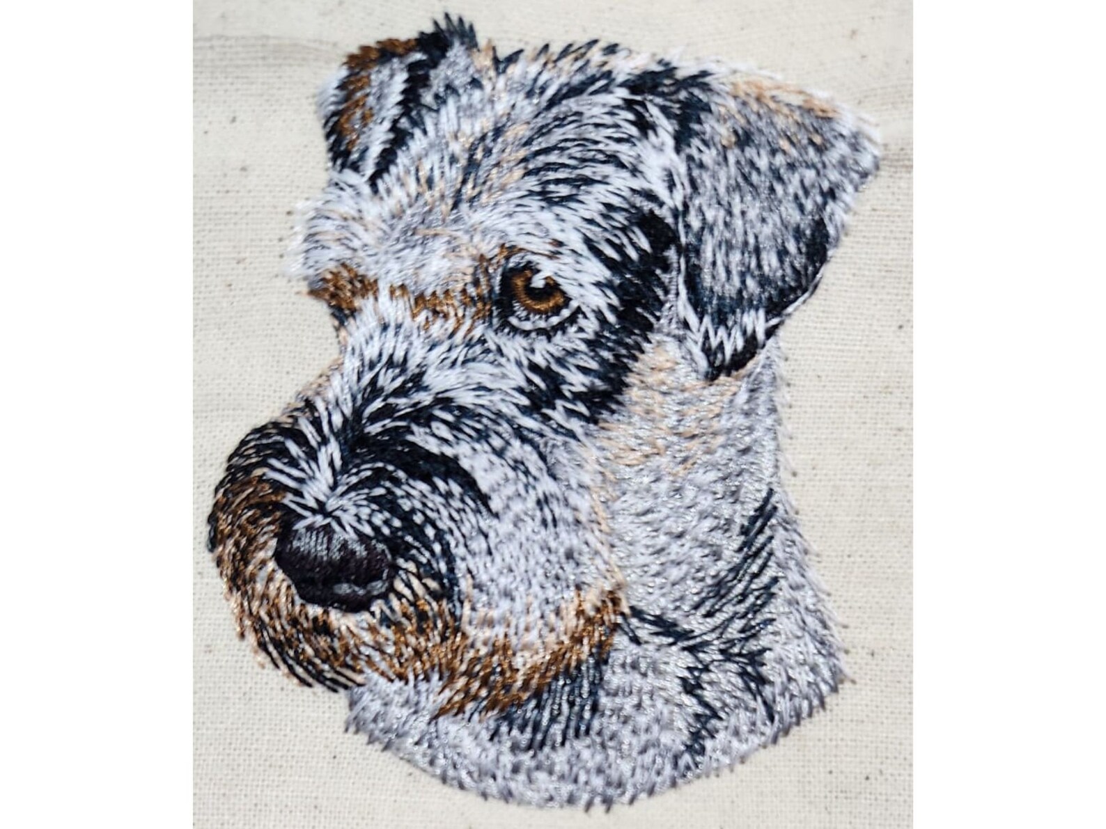 Standard Schnauzer - Wire-haired Pinscher, Adorable Animal Craft, Cute ...