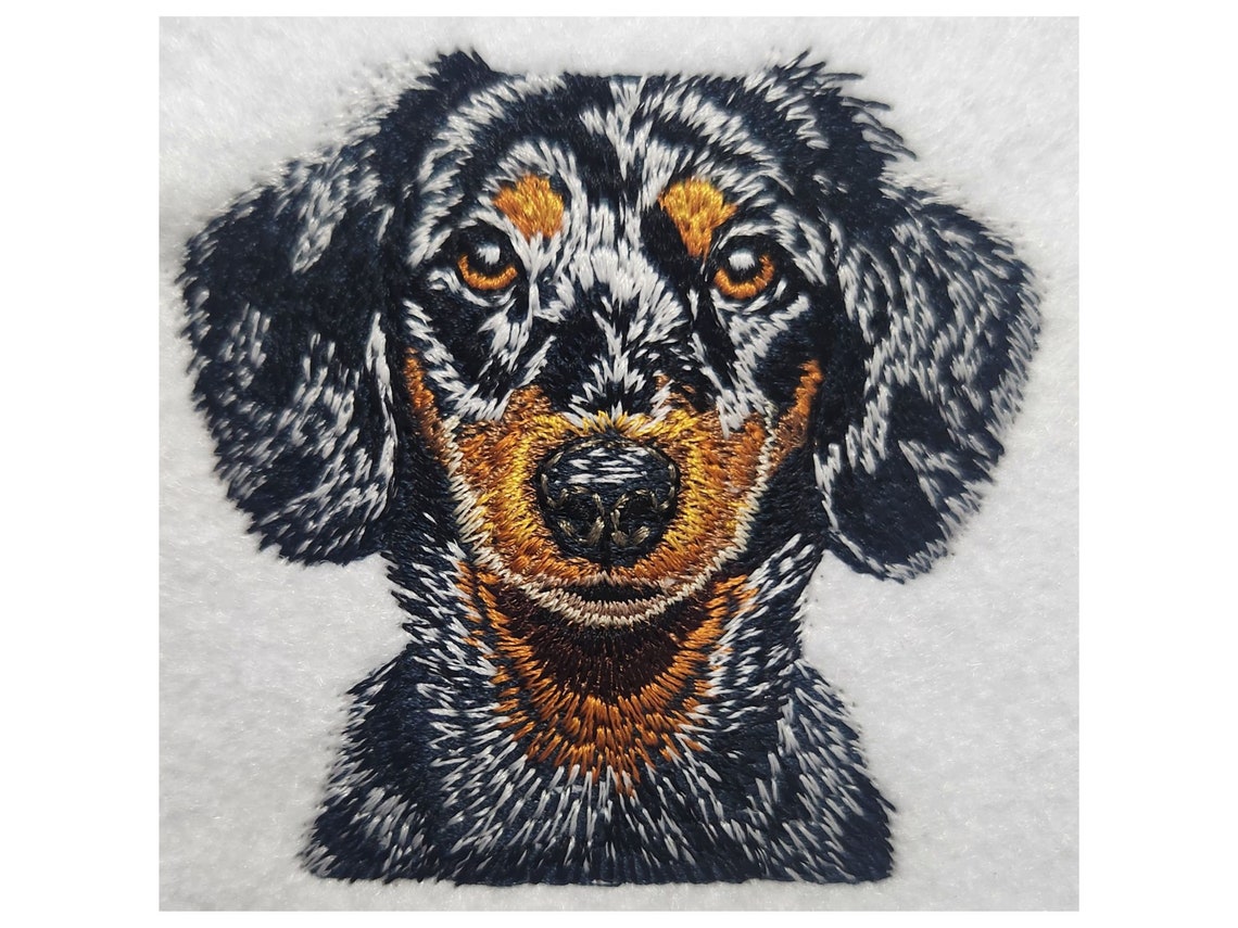 Dapple Dachshund - Merle Coat, Cute Breed, Fun Project, Realistic ...
