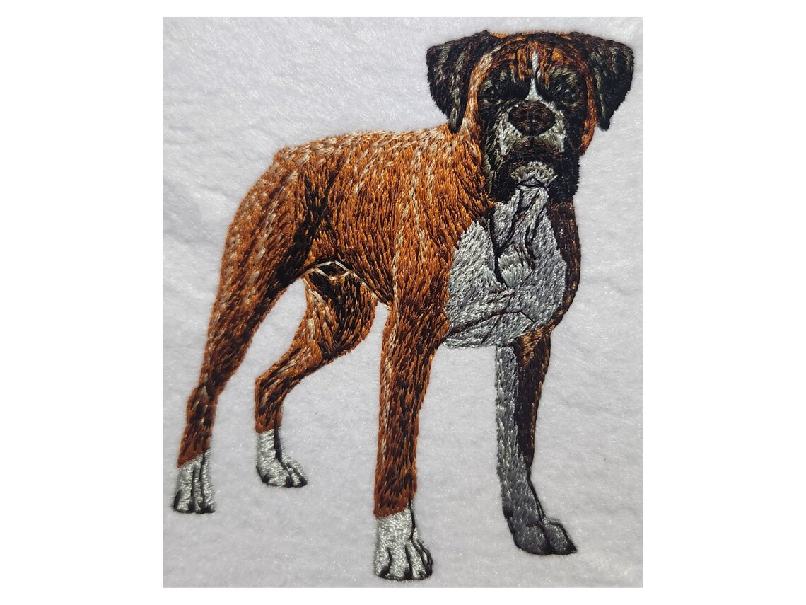 Boxer Dog - Full Body, Fun Project, Realistic Portrait, Dog Lover, Pet ...