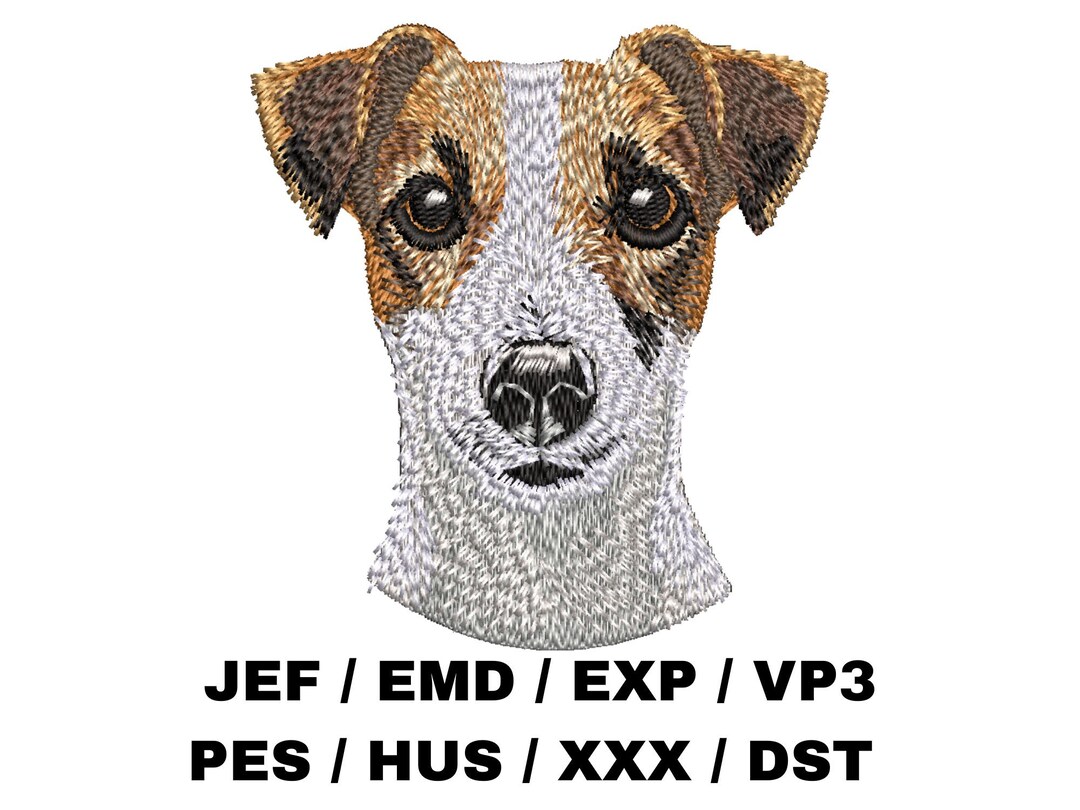 Jack Russell Terrier, JRT - Popular Breed, Dog Lover, Pet Owner, DIY ...