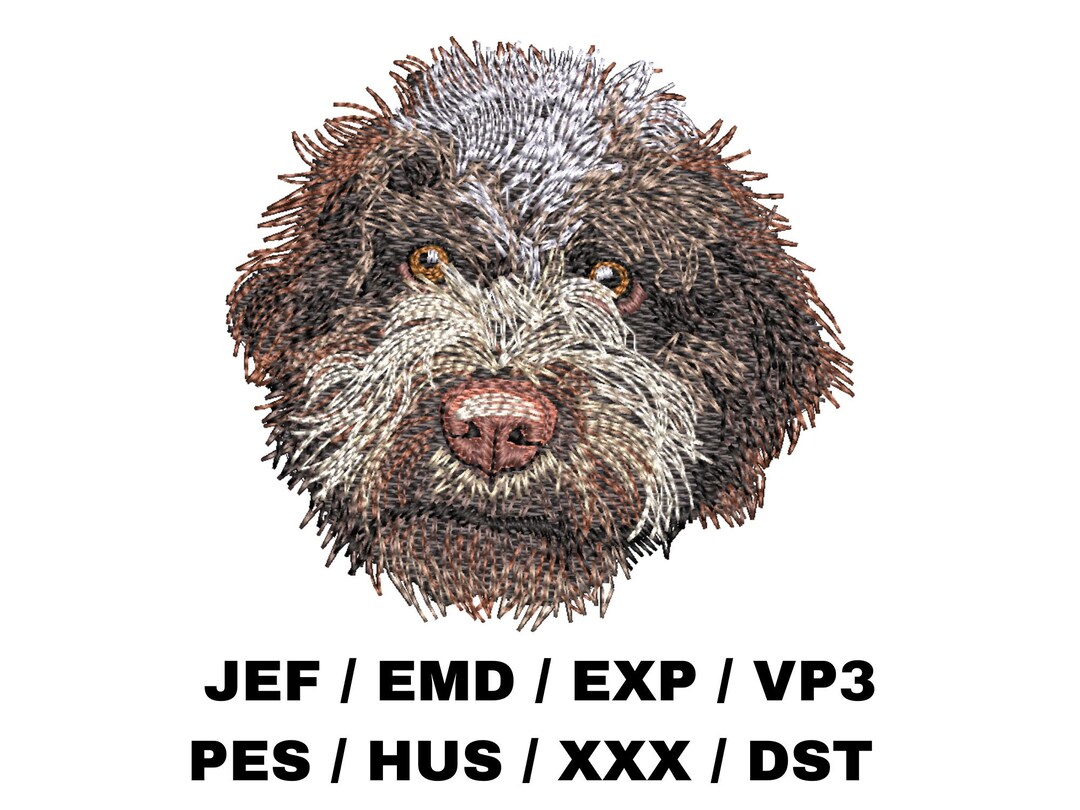 Lagotto Romagnolo Embroidery File - Italian Water Dog, Realistic Dog ...