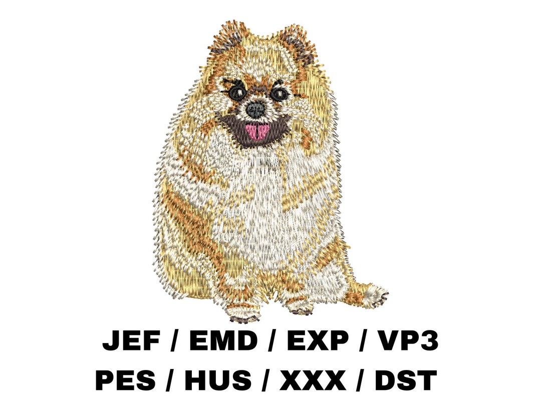 Pomeranian, German Toy Spitz - Full Body, Cute Pet, Dog Lovers ...