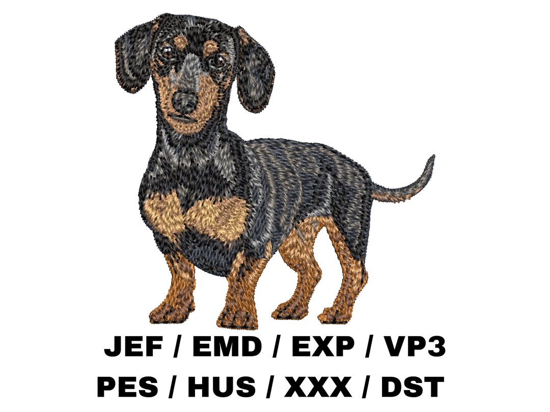 Dachshund - Full Body, Popular Pet, Wiener Dog Lover, Animal Craft, Fun ...