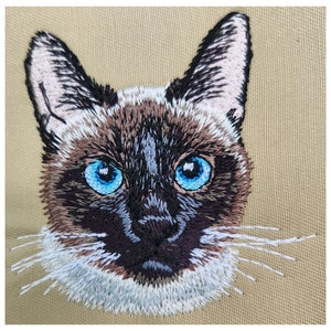 Siamese Cat, Meezer, Mese - Whiskers, Realistic Portrait, Cat Lovers ...