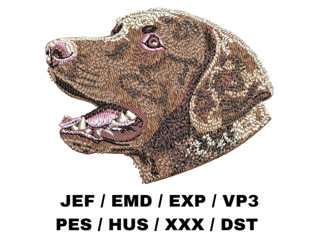 Chesapeake Bay Retriever Embroidery File, Chessie, Realistic Dog ...