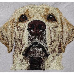 Labrador Retriever - Yellow Lab, Popular Breed, Dog Lovers Gift ...