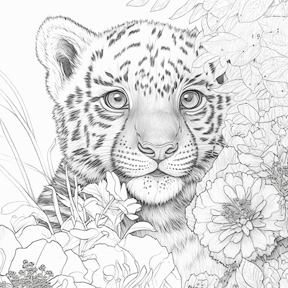 Baby Snow Tiger Coloring Pages