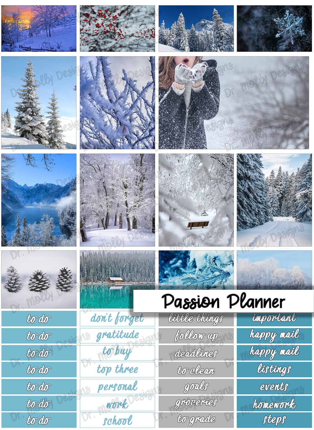 Winter Wonderland Passion Planner Printable Weekly Stickers Winter ...