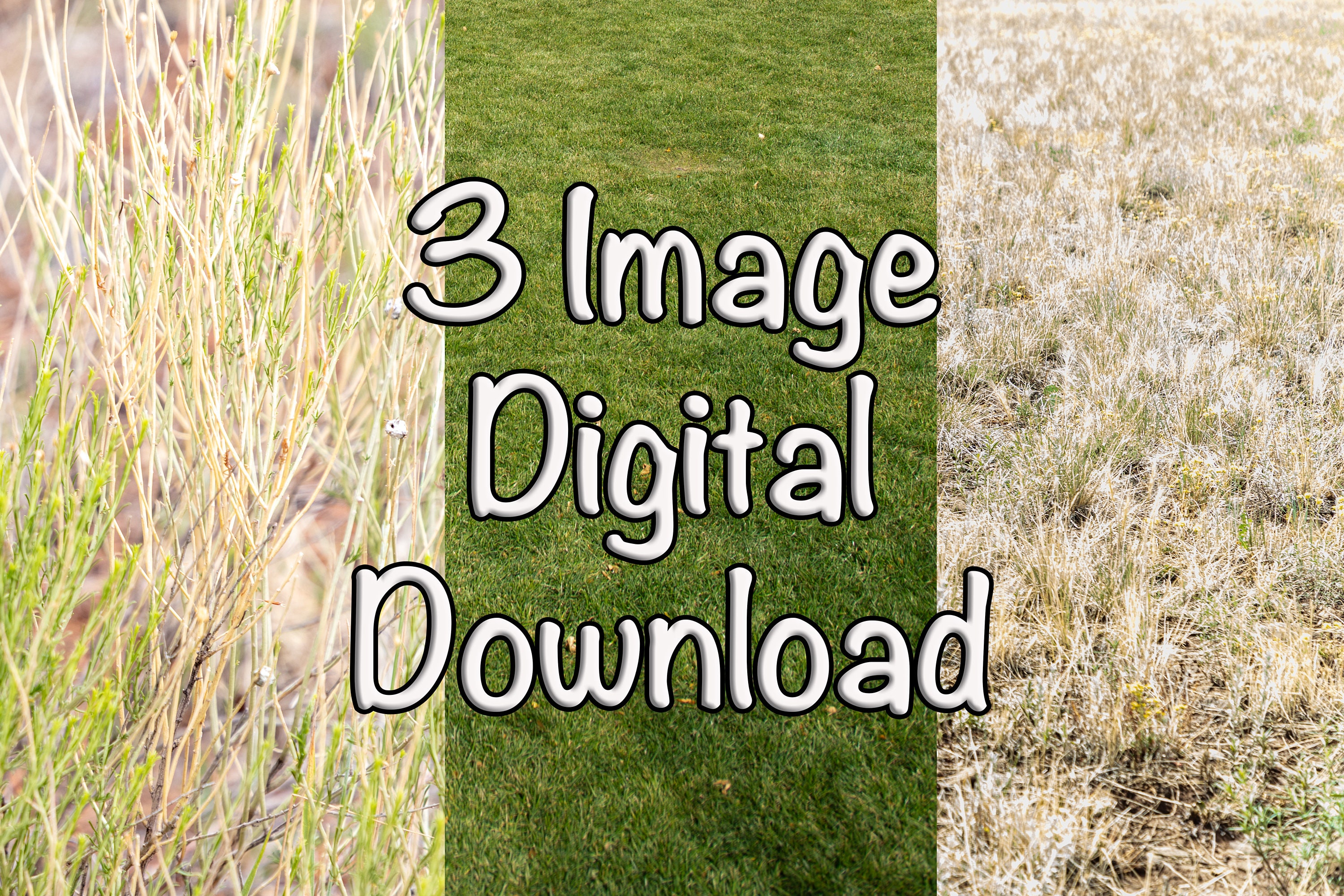 Green Grass Digital Download, 3 Image Lawn Weeds Background Image ...