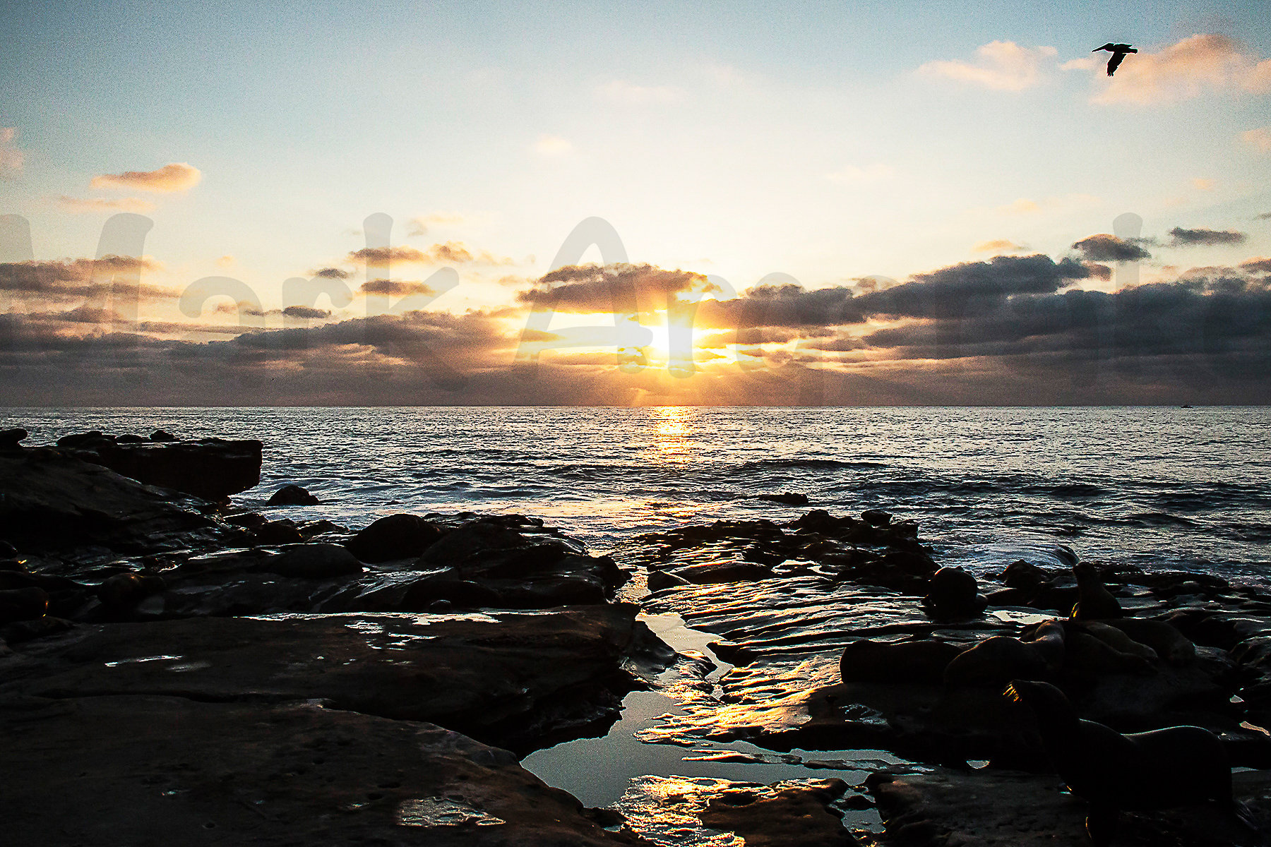 La Jolla Sunset Photo Postcard: California Coastline Art (4x6) - Etsy