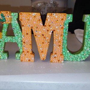Custom Famu Wood Letters - Etsy