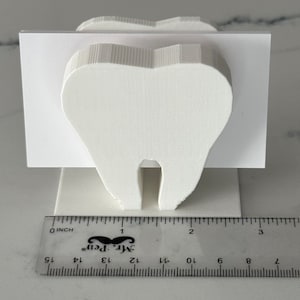 3D Printed tooth Business Card Holder Dentist Dental Hygienist Tooth ...