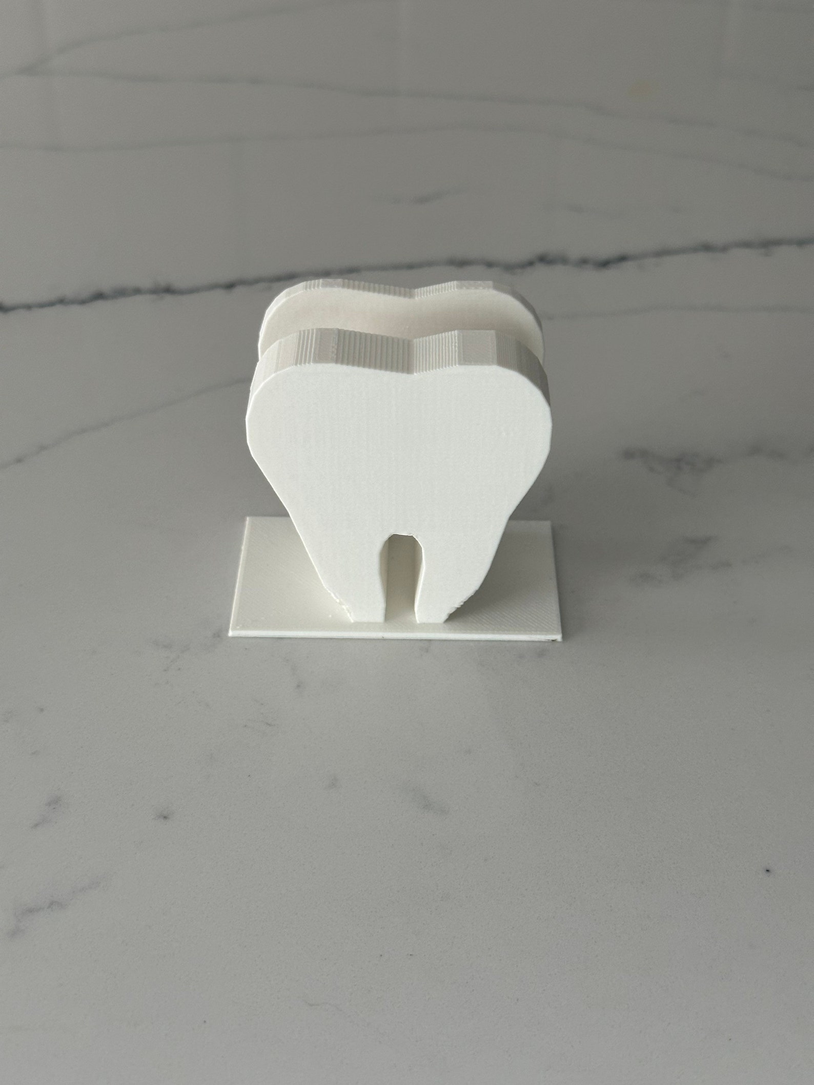 3D Printed tooth Business Card Holder Dentist Dental Hygienist Tooth ...