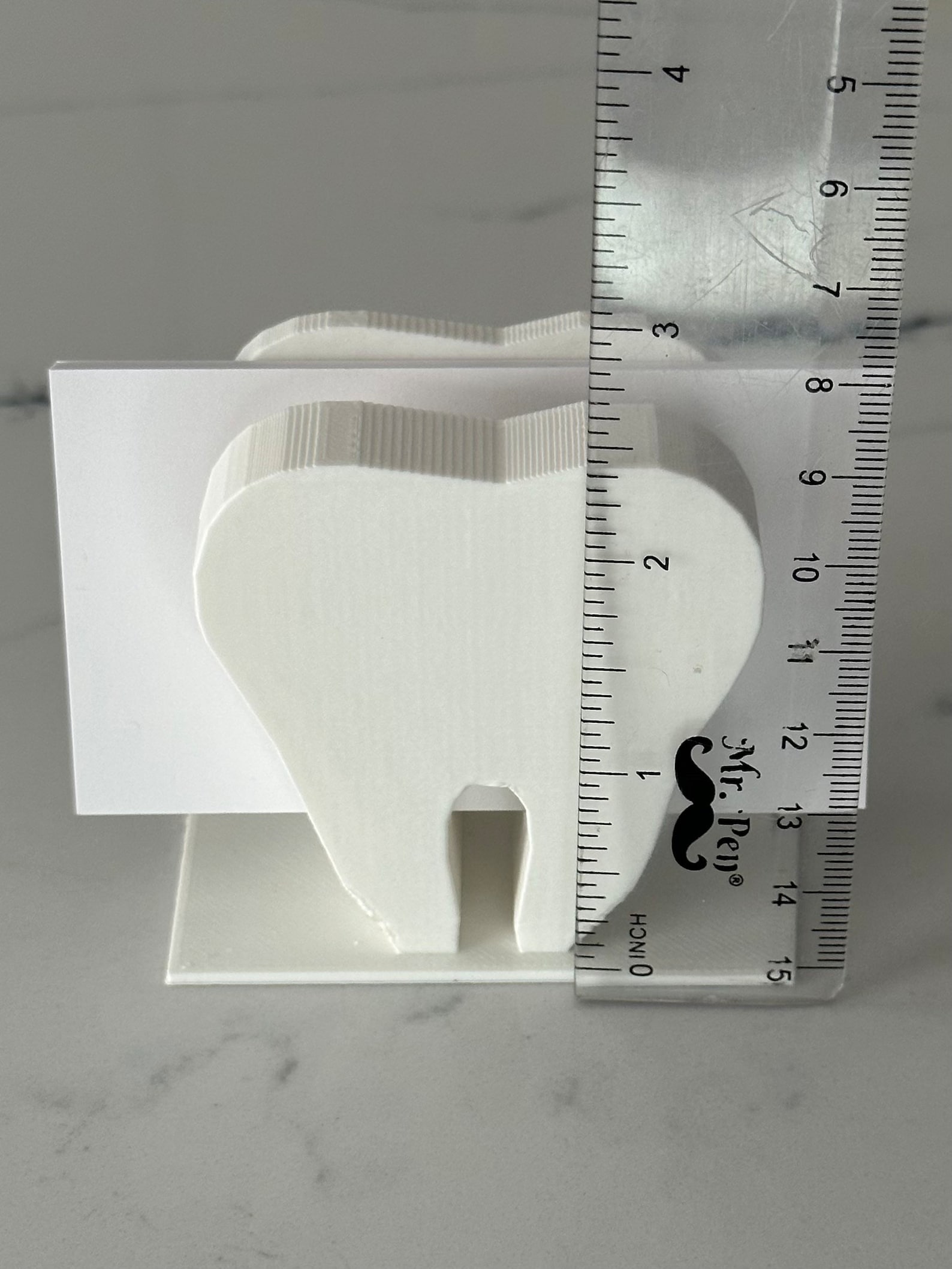 3D Printed tooth Business Card Holder Dentist Dental Hygienist Tooth ...