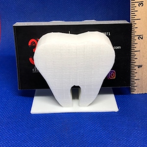 3D Printed tooth Business Card Holder Dentist - Etsy