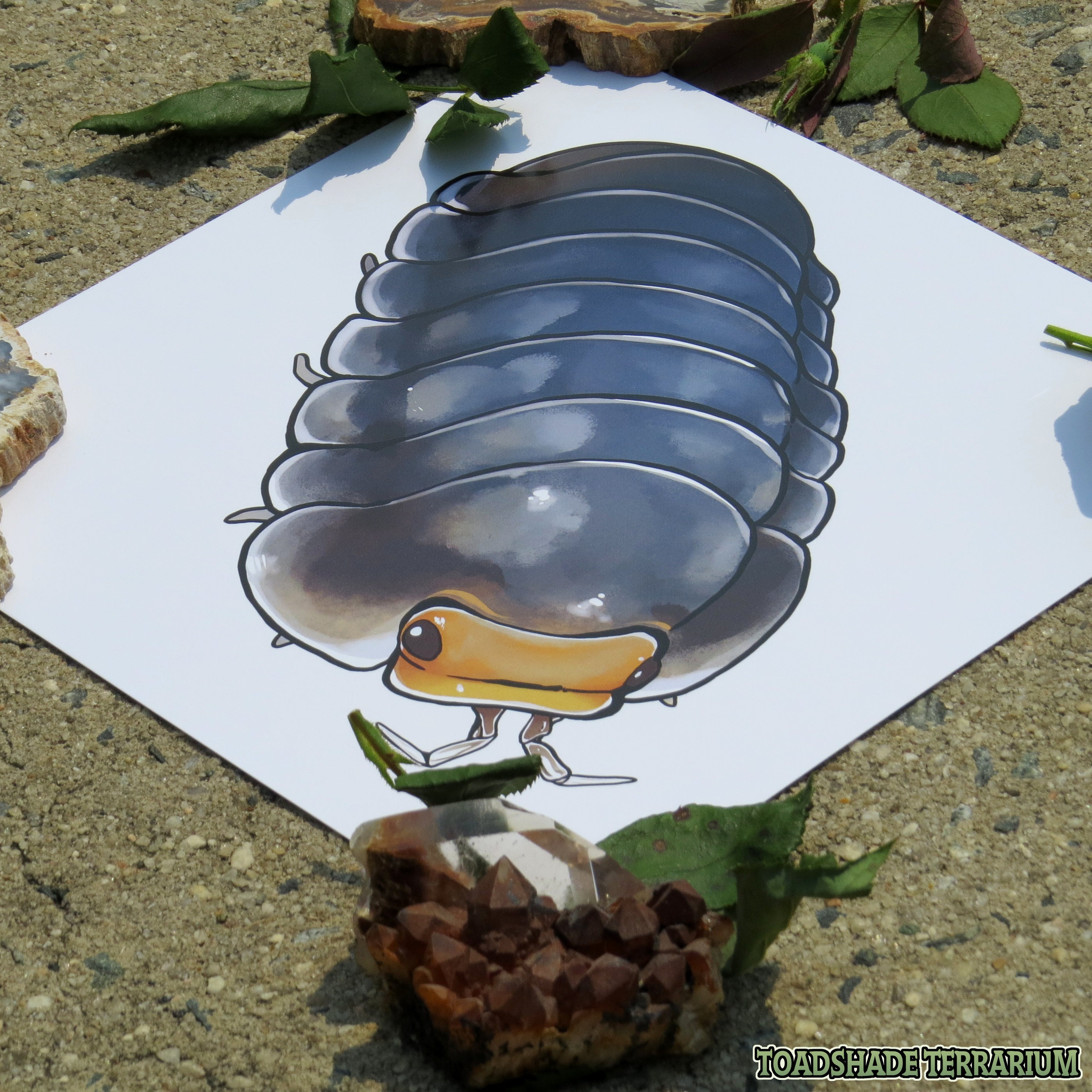 Isopod Original Art Print | Blue & Orange | 8x8" Square! - Etsy