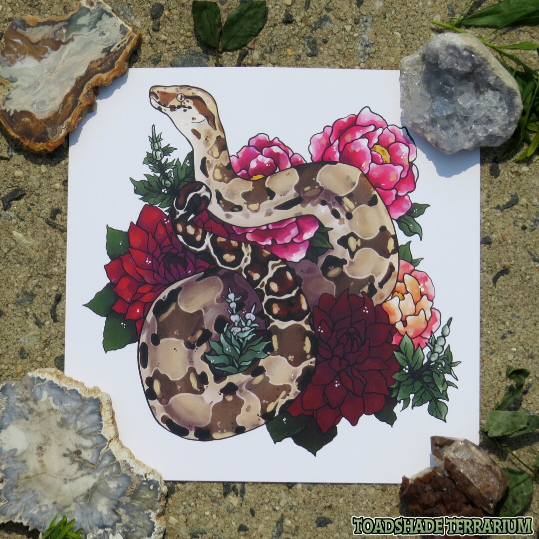 Boa Constrictor Original Art Print | Floral | 8x8" Square! - Etsy