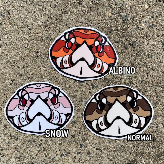 Western Hognose Vinyl Sticker - Etsy