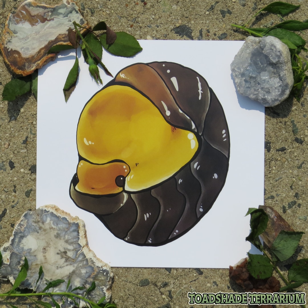 Isopod Original Art Print | Rubber Ducky | 8x8" Square! - Etsy