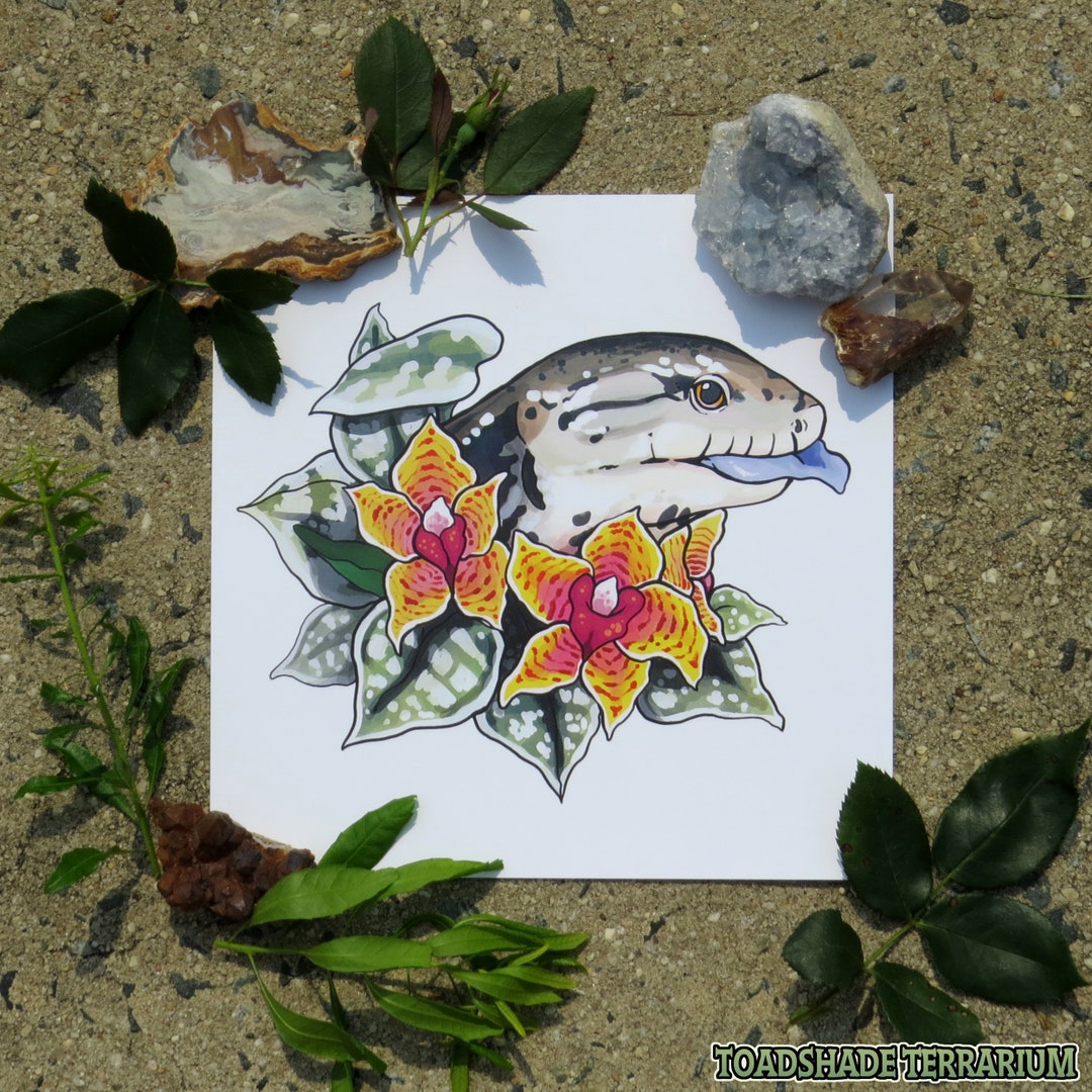 Blue Tongue Skink Original Art Print | 8x8" Square! - Etsy