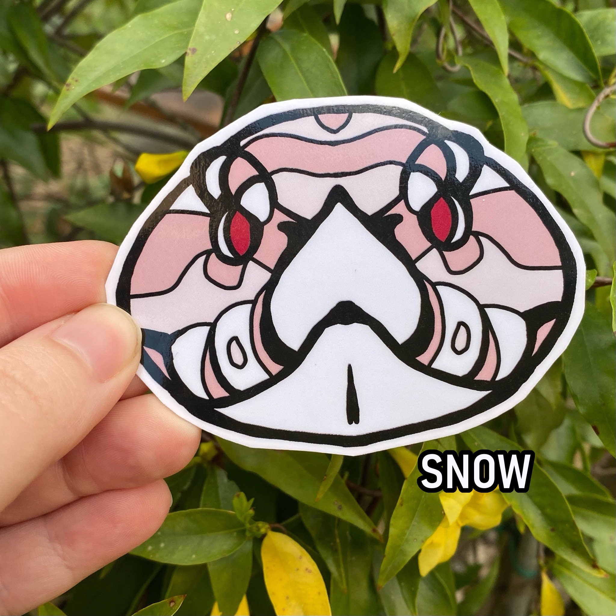 Western Hognose Vinyl Sticker - Etsy