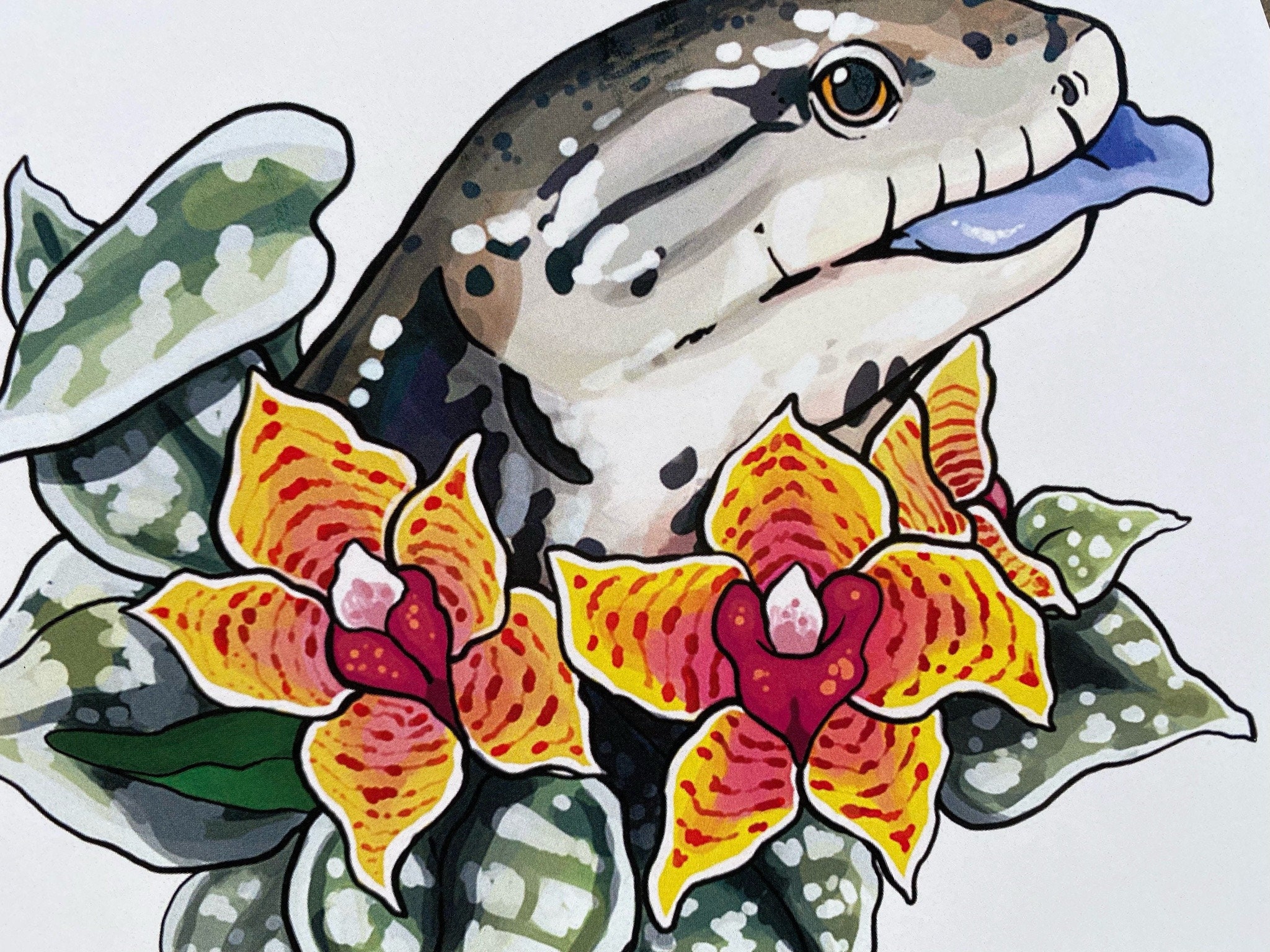 Blue Tongue Skink Original Art Print square - Etsy