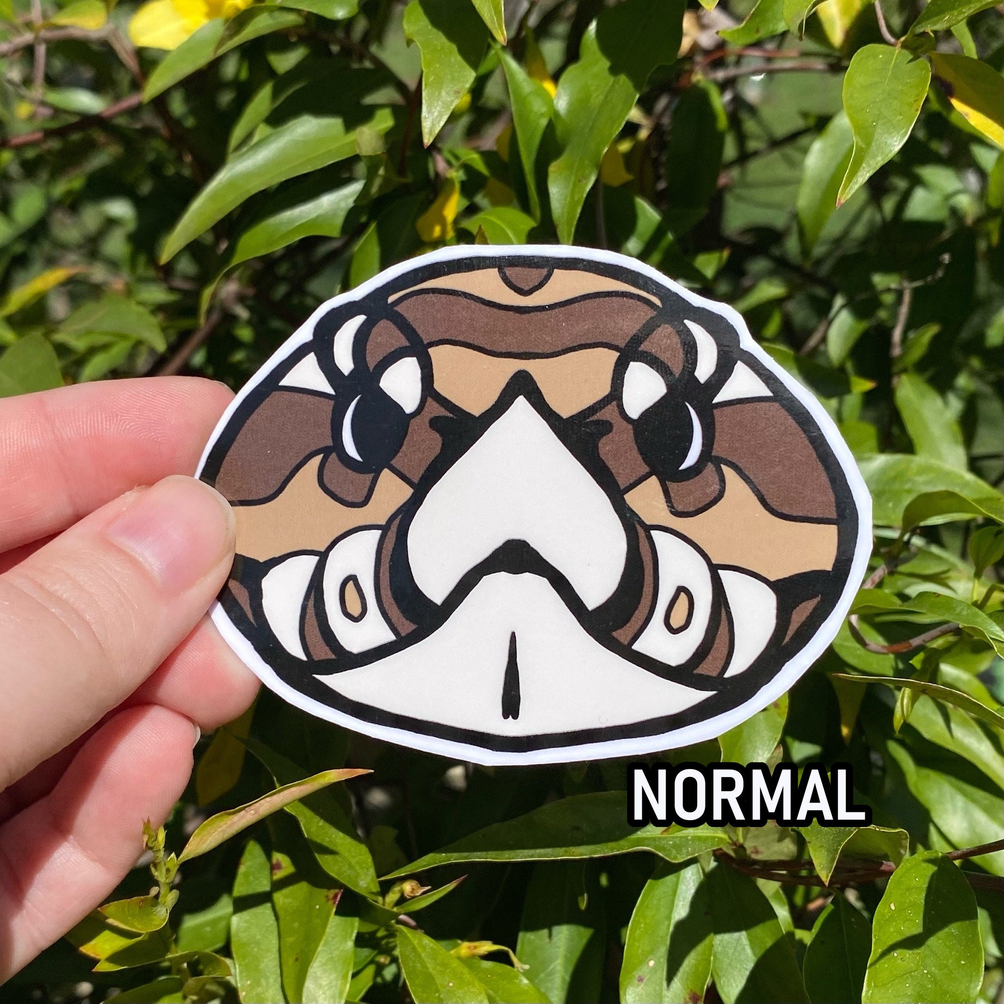 Western Hognose Vinyl Sticker - Etsy