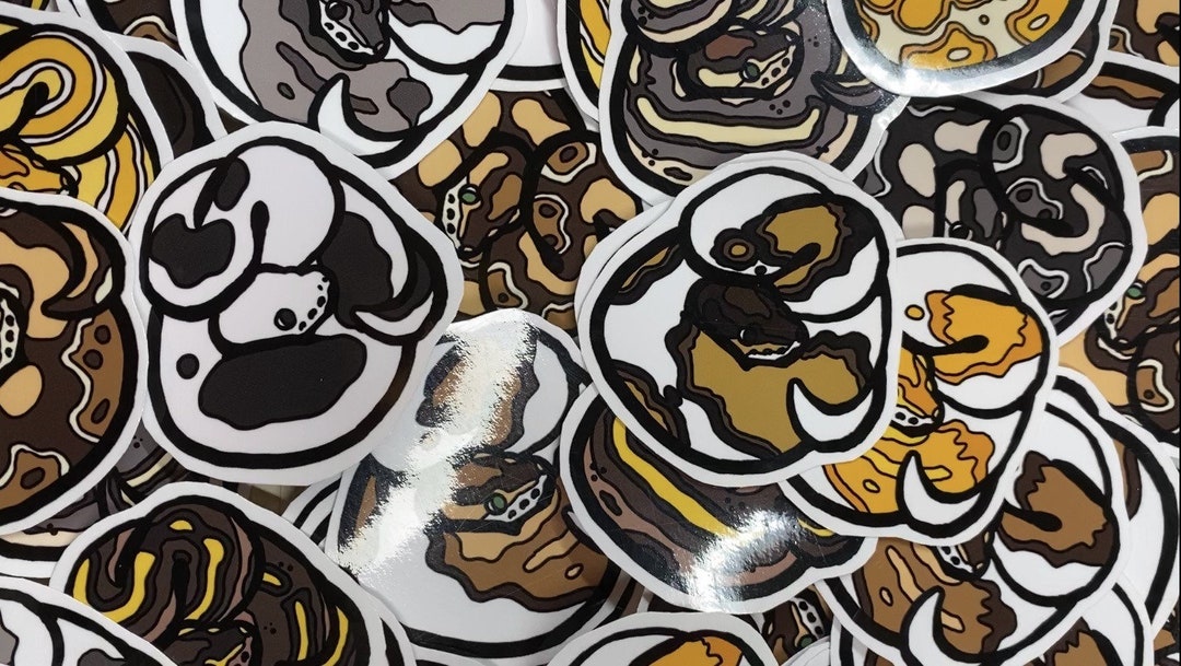 Ball Python Vinyl Sticker - Etsy