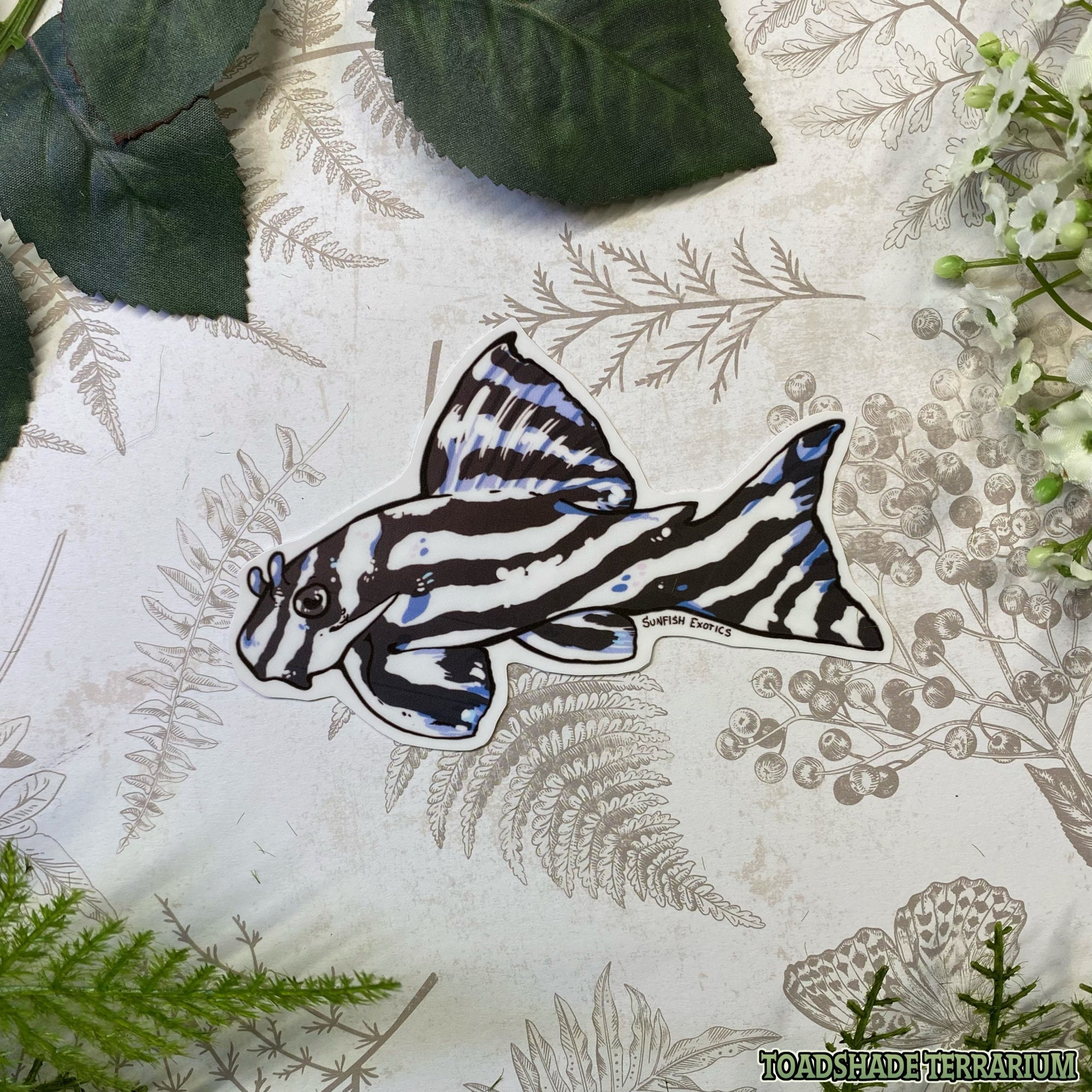 Zebra Pleco Vinyl Sticker - Etsy