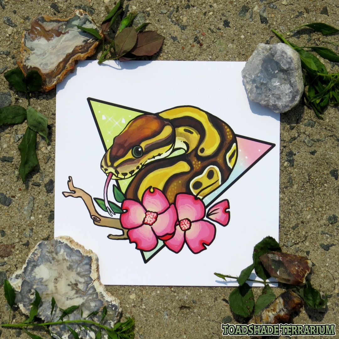 Magical Original Art Print Series | Ball Python | 8x8" Square! - Etsy