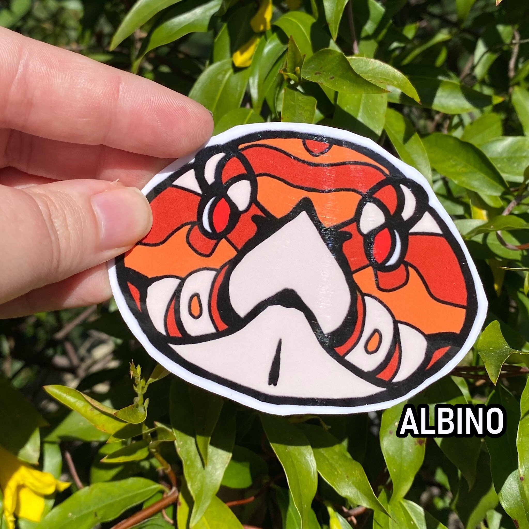 Western Hognose Vinyl Sticker - Etsy