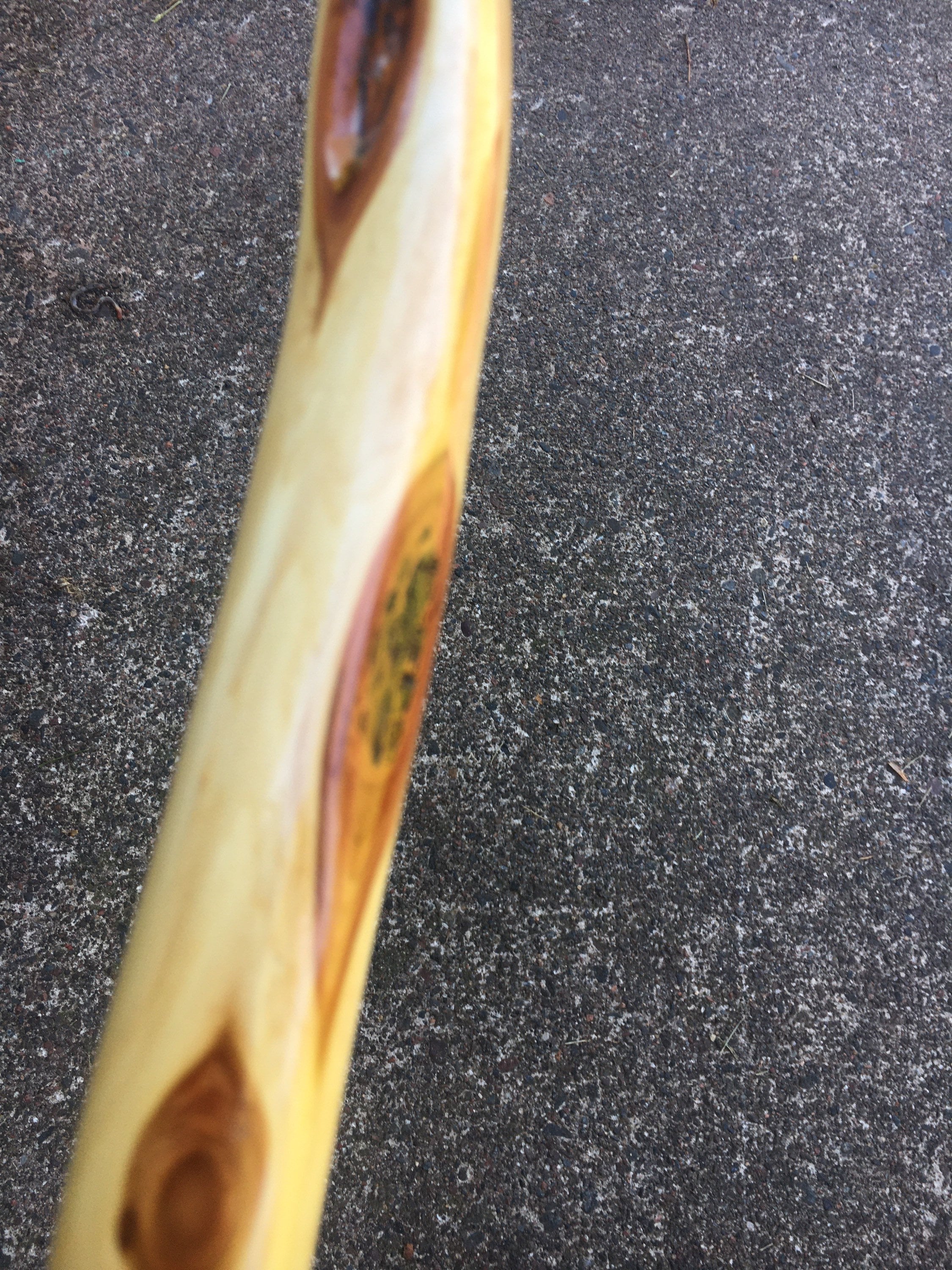 60” Diamond Willow Walking Stick - Etsy